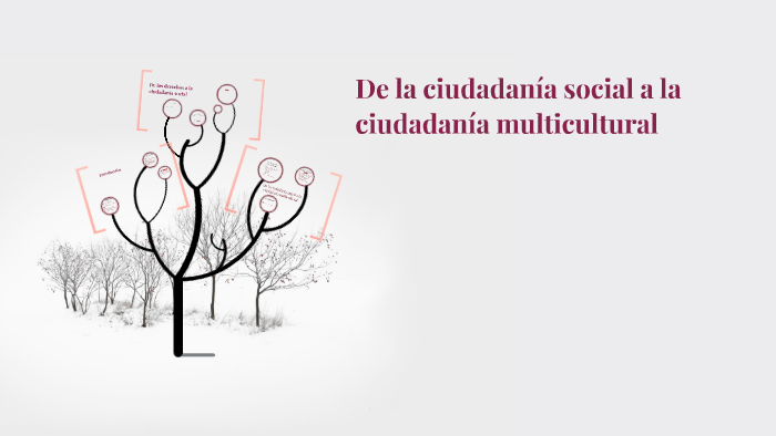 De la Ciudadanía Social a La Multicultural by Valeria Sofía Becerra ...