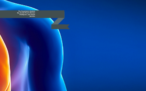 The Respiratory System by Austin Picard on Prezi