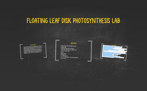 FLOATING LEAF DISK PHOTOSYNTHESIS LAB by Julia Alvarez on Prezi