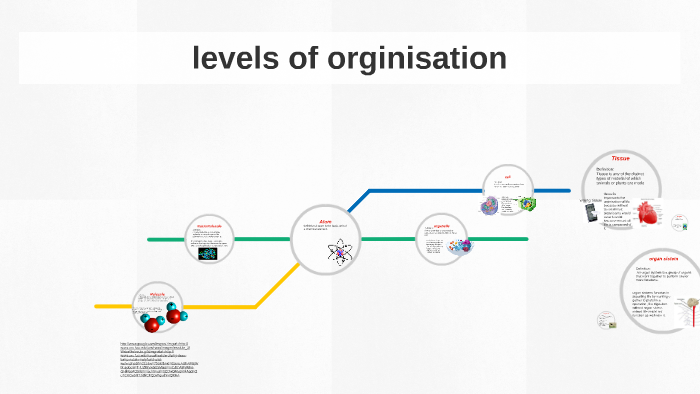 levels of orginisation by anthony clark on Prezi