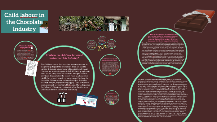 Child labour in the chocolate industry by Katie Ekstrom on Prezi