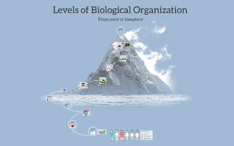 Levels of Biological Organization by Ms. Rancel on Prezi