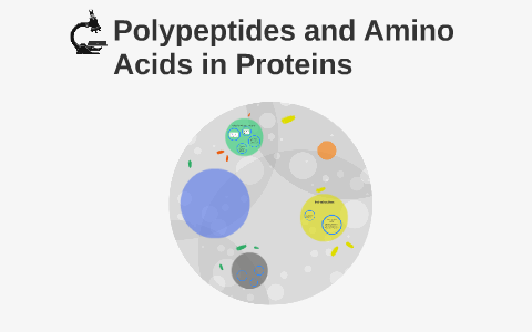 Polypeptides and Amino Acids in Proteins by Julia Plott on Prezi