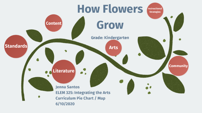 Curriculum Pie Chart / Map by Jenna Santos on Prezi