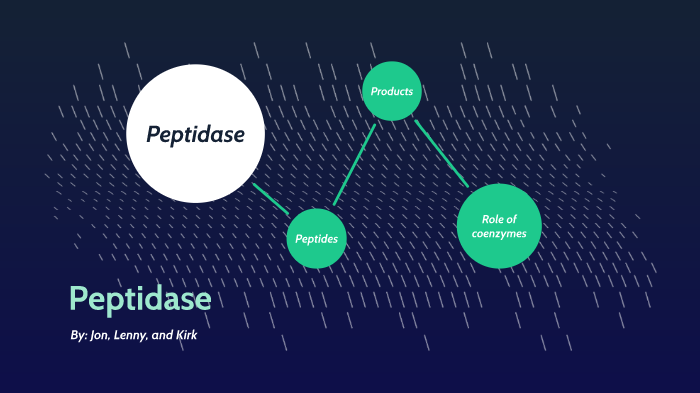 Peptidase by Jon Barnes on Prezi