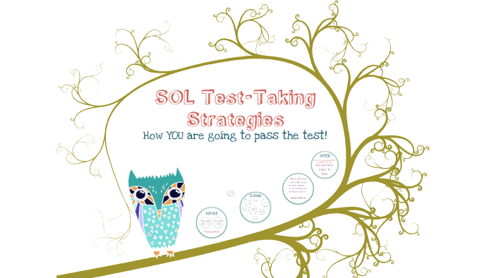 SOL test-taking strategies by Rachel Affleck on Prezi