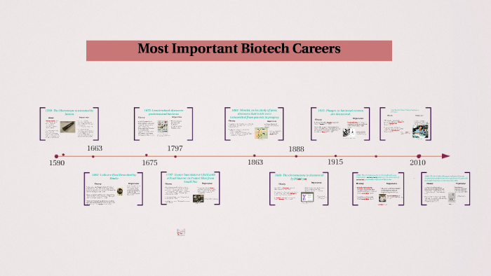 Most Important Biotech Careers by Alekha Estimé on Prezi