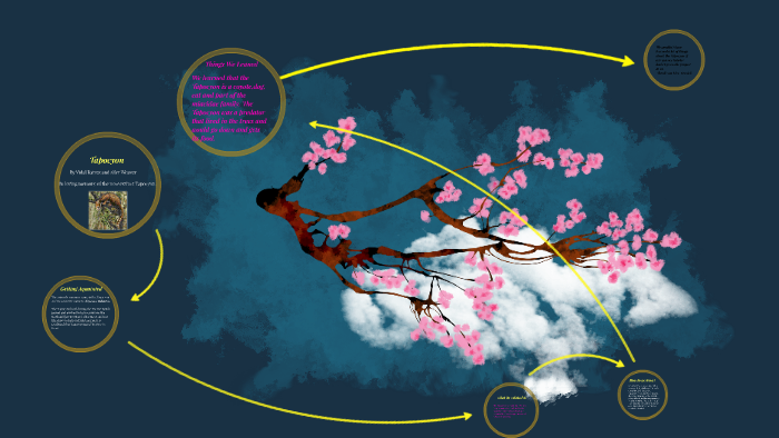 Tapocyon by vidal batres