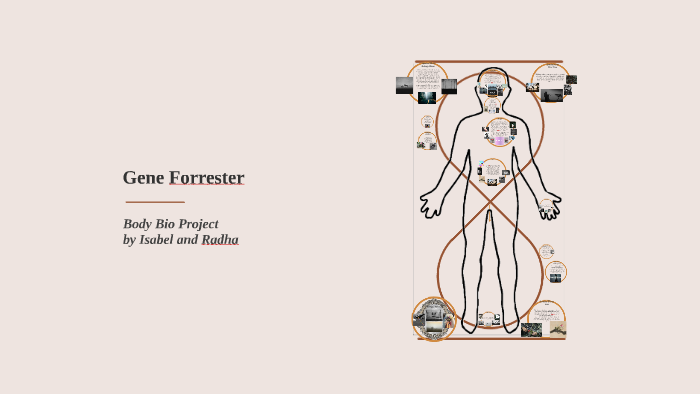 Gene Forrester Body Bio Project by Isabel Herrick on Prezi