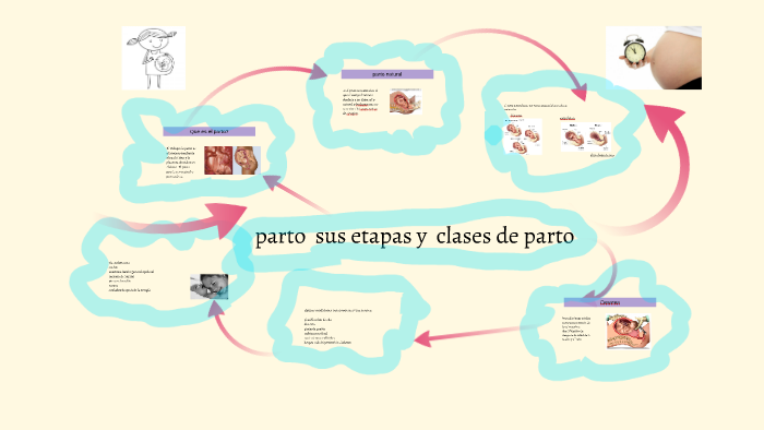 parto sus etapas y clases de parto by susana gañan