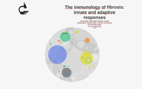 The immunology of fibrosis: innate and adaptive responses by MedVet ...
