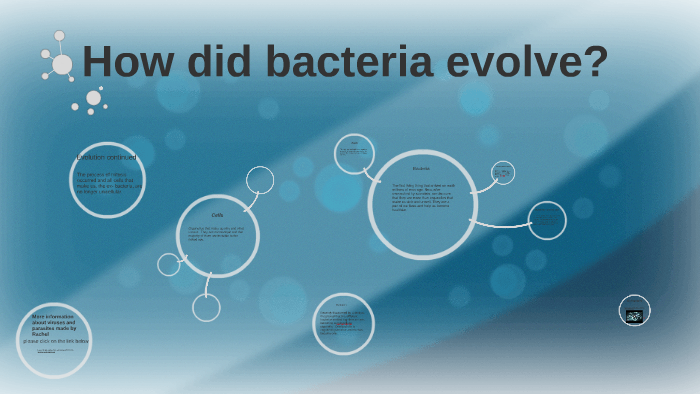 How did bacteria evolve? by Elisa Han on Prezi