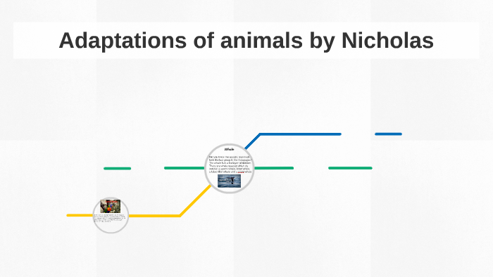 Darwins delights V2 by Year 6 SJ on Prezi