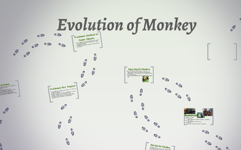 Evolution of Monkey by Jay Niles on Prezi