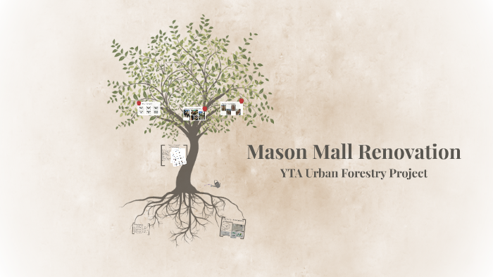 Mason Mall Renovation by Matt Hamm on Prezi