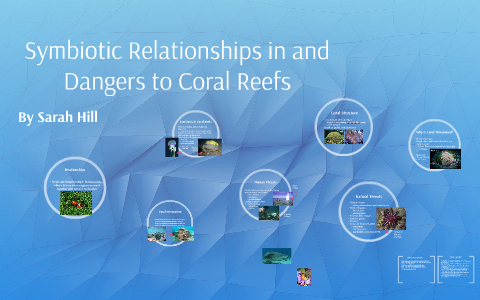 Symbiotic Relationships in and Dangers to Coral Reefs by Sarah Hill on ...