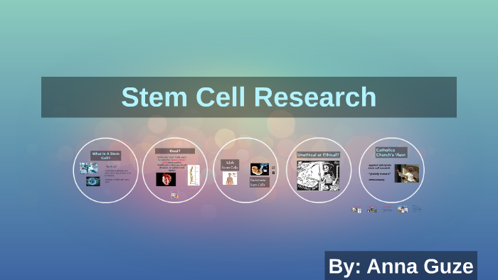 Stem Cell Research - Social Justice Project by Anna Guze on Prezi