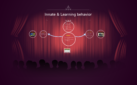 Innate & Learning behavior by 제덕 김 on Prezi