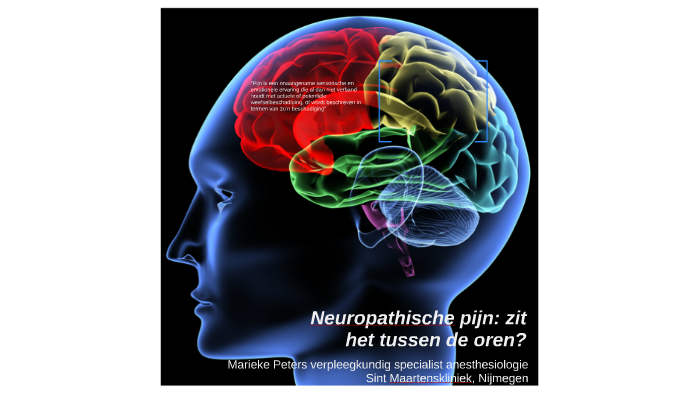 Neuropathische pijn: zit het tussen de oren? by Marieke Peters on Prezi