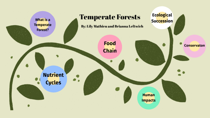 Temperate Forests Presentation by Lily Mathieu on Prezi
