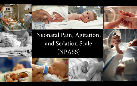 NPASS Presentation by katie nowaselski on Prezi