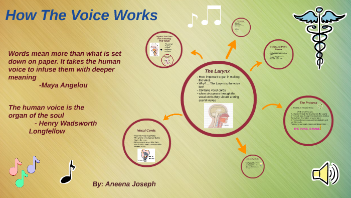 HowThe Voice Works by Aneena Joseph on Prezi