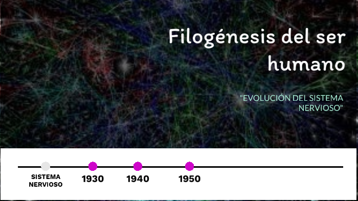 Filogénesis del ser humano. La evolución del sistema nervioso. by ...