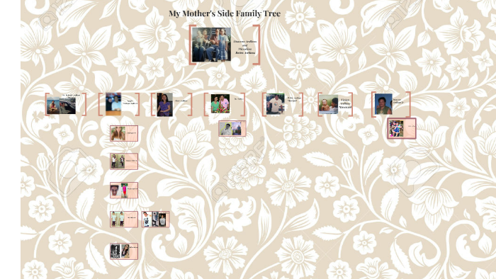 My Mother's Side Family Tree by Yasmeen Cabrera on Prezi