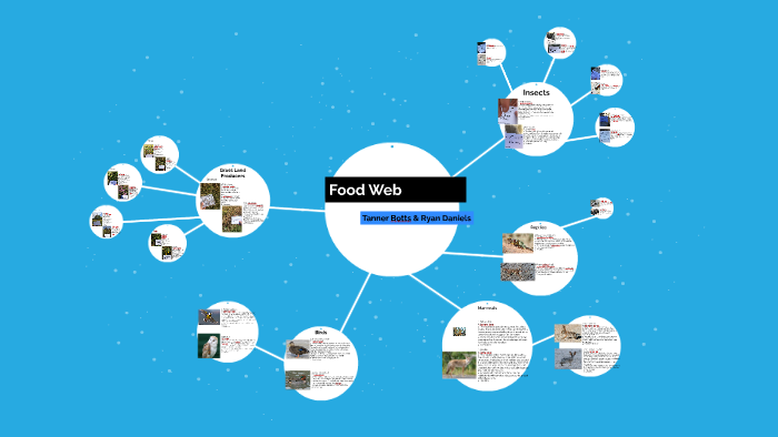 Food Web by Tanner Botts on Prezi