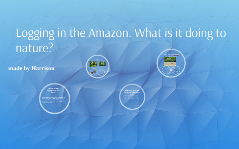 logging in the Amazon. What is it doing to nature by Harrison wagner on ...
