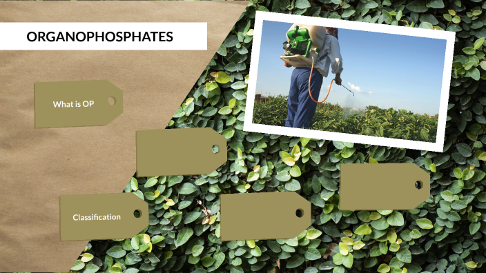 Types of organophosphates by 13 Angeline Aishwarya on Prezi
