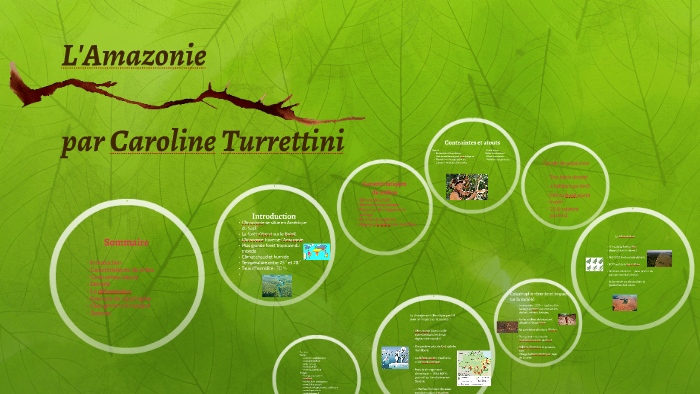 L'Amazonie by on Prezi