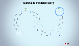 Marcha Trendelenburg by igmar igmar on Prezi