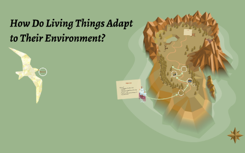How Do Living Things Adapt to Their Environment? by Brianna Geisbush on ...