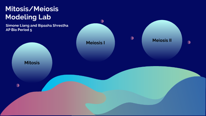 Mitosis/Meiosis Modeling Lab by Simone Liang on Prezi