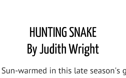 Hunting Snake Poem Analysis by Juliana Lindenhayn on Prezi