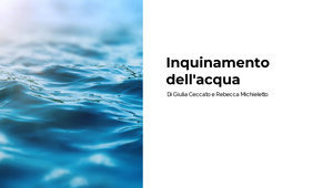 Inquinamento dell'acqua by Giulia Ceccato on Prezi Design