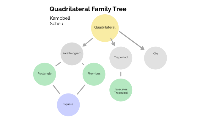Quadrilateral Family Tree by kampbell scheu on Prezi