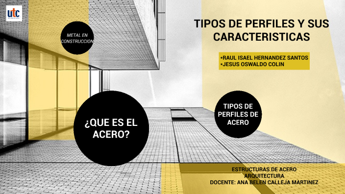 TIPOS DE PERFILES Y SUS CARACTERISTICAS by Raul Hernandez on Prezi