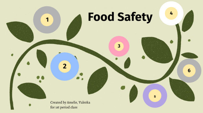 Food Safety Presentation by v p on Prezi