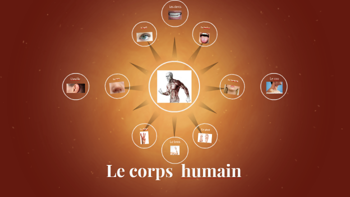 Le corps humain--The Human Body by Trinity Olmstead on Prezi