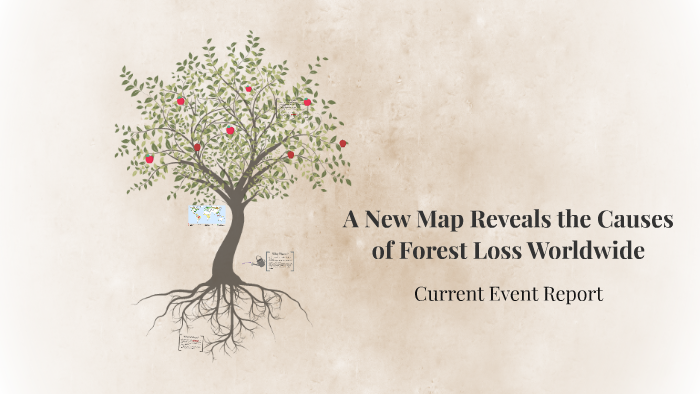 A New Map Reveals the Causes of Forest Loss Worldwide by Ava ...