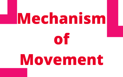 Mechanism of Movement Project By: Courtney Faunce, Liza Fahey & Olivia ...