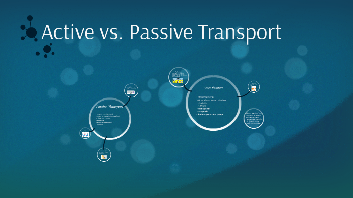 Active vs. Passive Transport by Ariana Karimian on Prezi