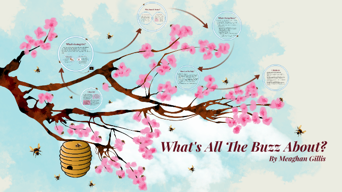 What's All The Buzz About? by Meg Gillis on Prezi
