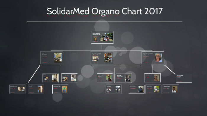 SolidarMed Org Chart by Janneke Van Dijk on Prezi