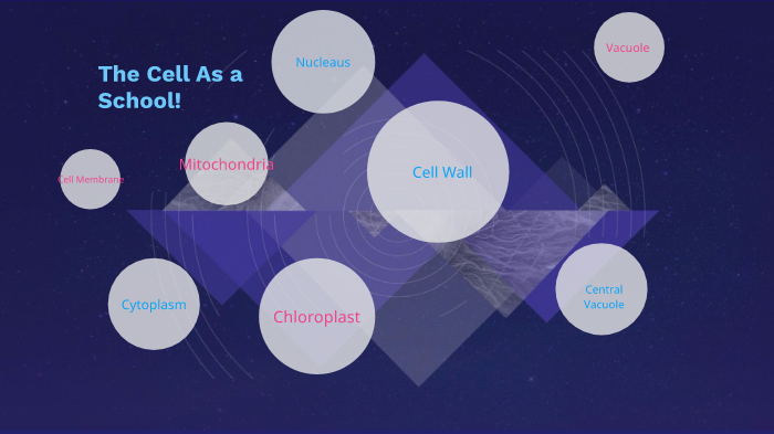 "The Cell As a School"-French by Nathan Cotter 57 (STUDENT) on Prezi