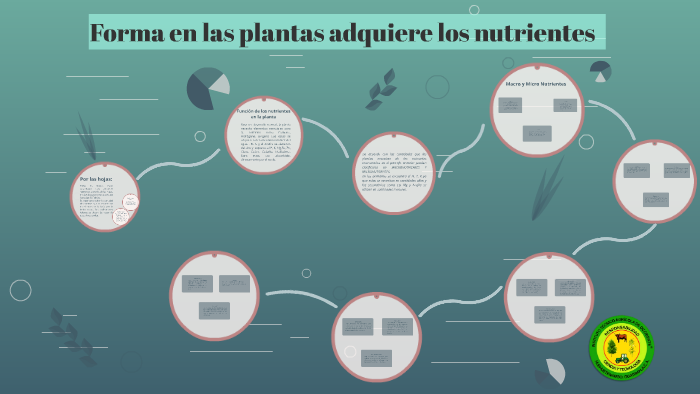 Formas en que la planta adquiere los nutrientes by edwin claudio on Prezi