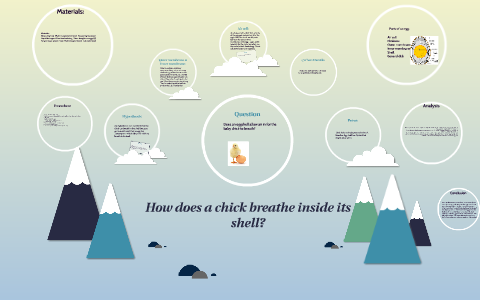 How does a chick breathe inside its shell? by kenneth lesher on Prezi