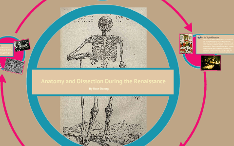 Anatomy and Dissection During the Renaissance by Rose Duong on Prezi